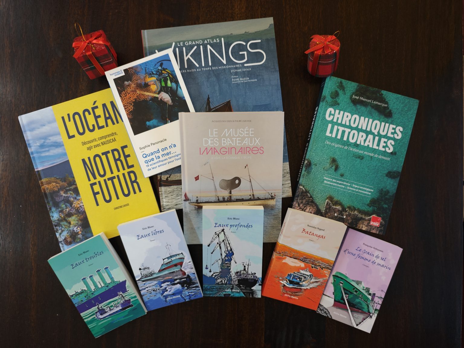 Noël approche à grands pas ! Et pourquoi ne pas offrir un livre à vos ...